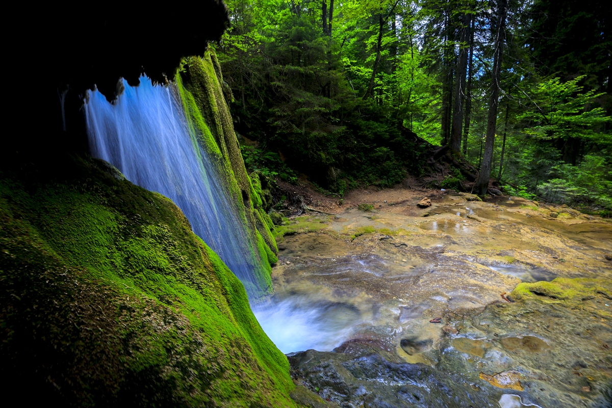 Sarajevo: Vrelo Miljacke, skriveni biser prirode – TVSA.BA